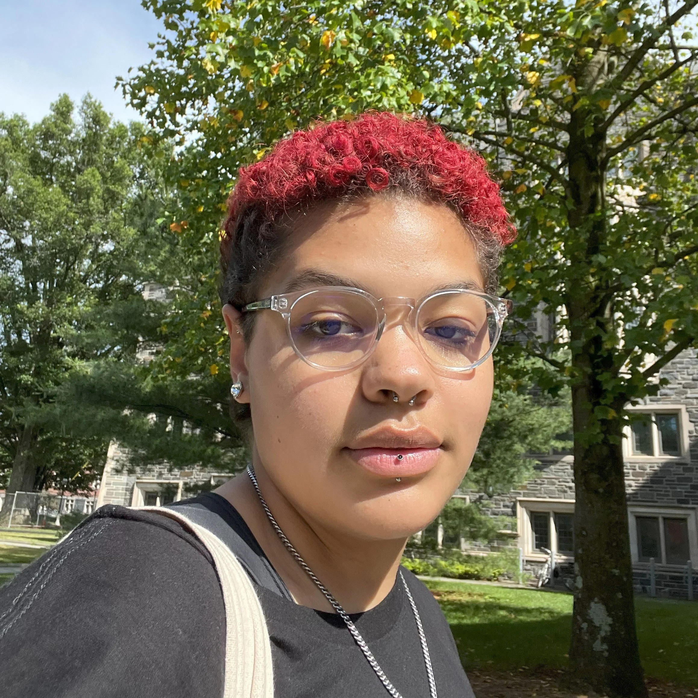 Current Board — Theatre Intime