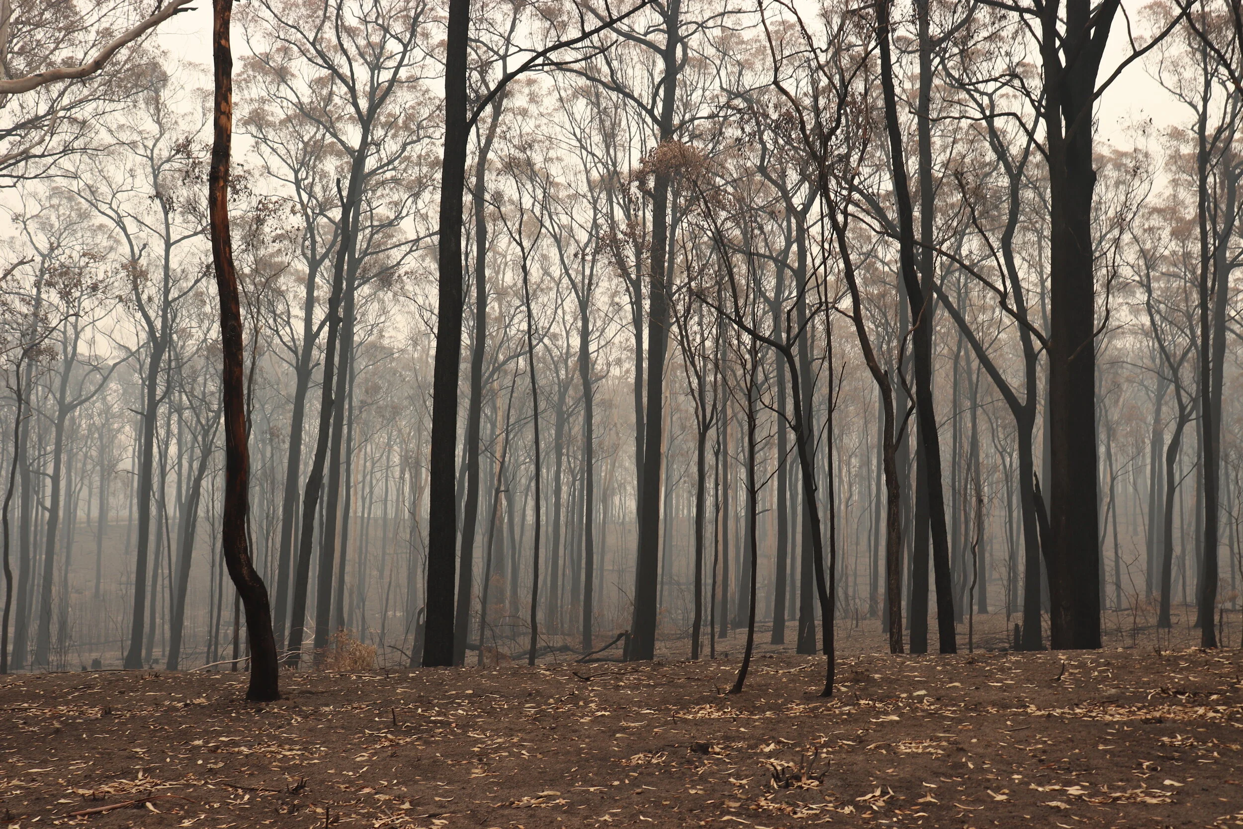 Blog — Nick Fabbri