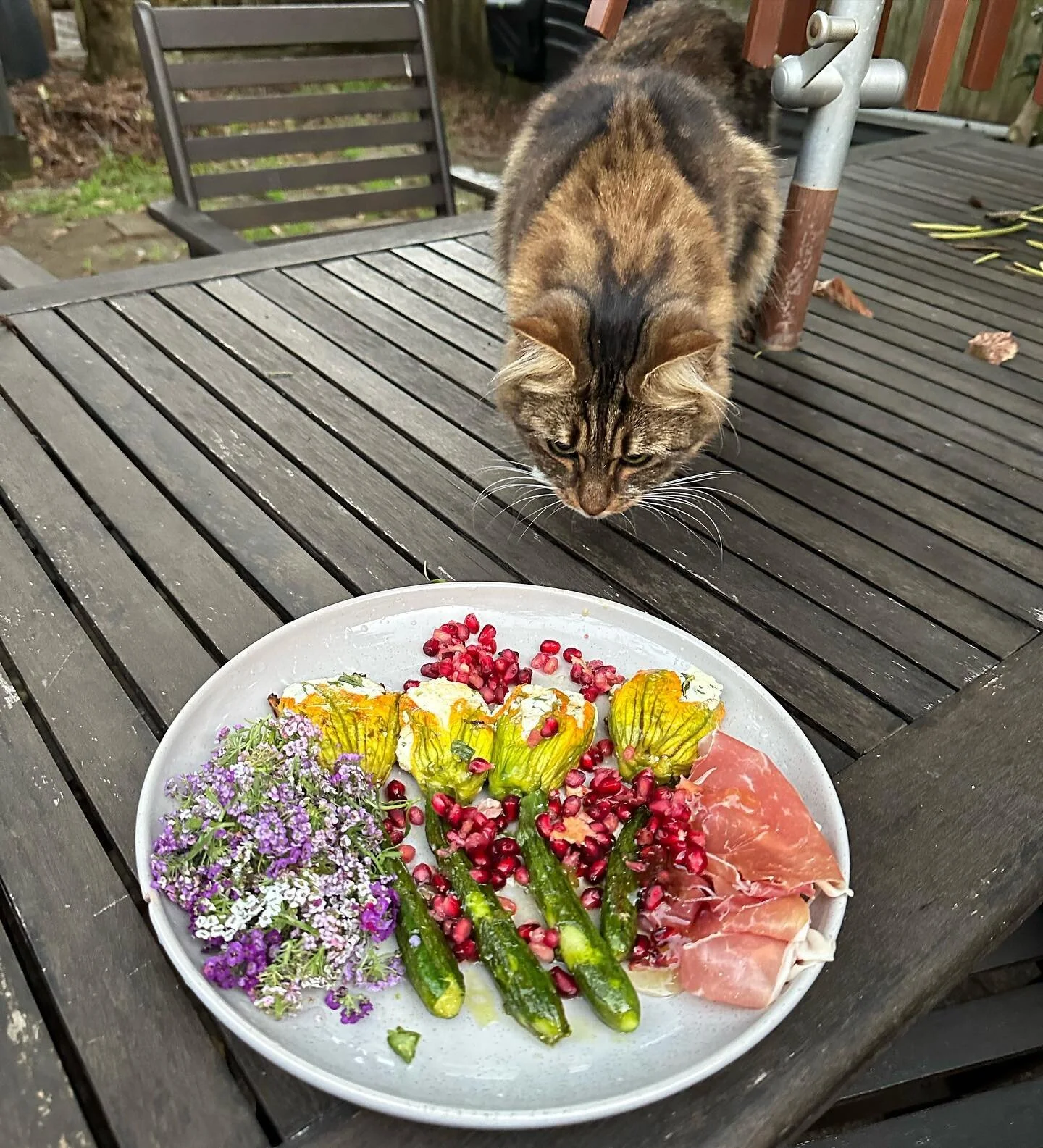 About — Nick Fabbri