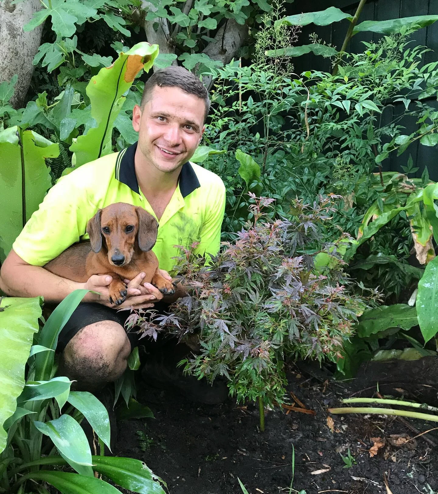 About — Nick Fabbri