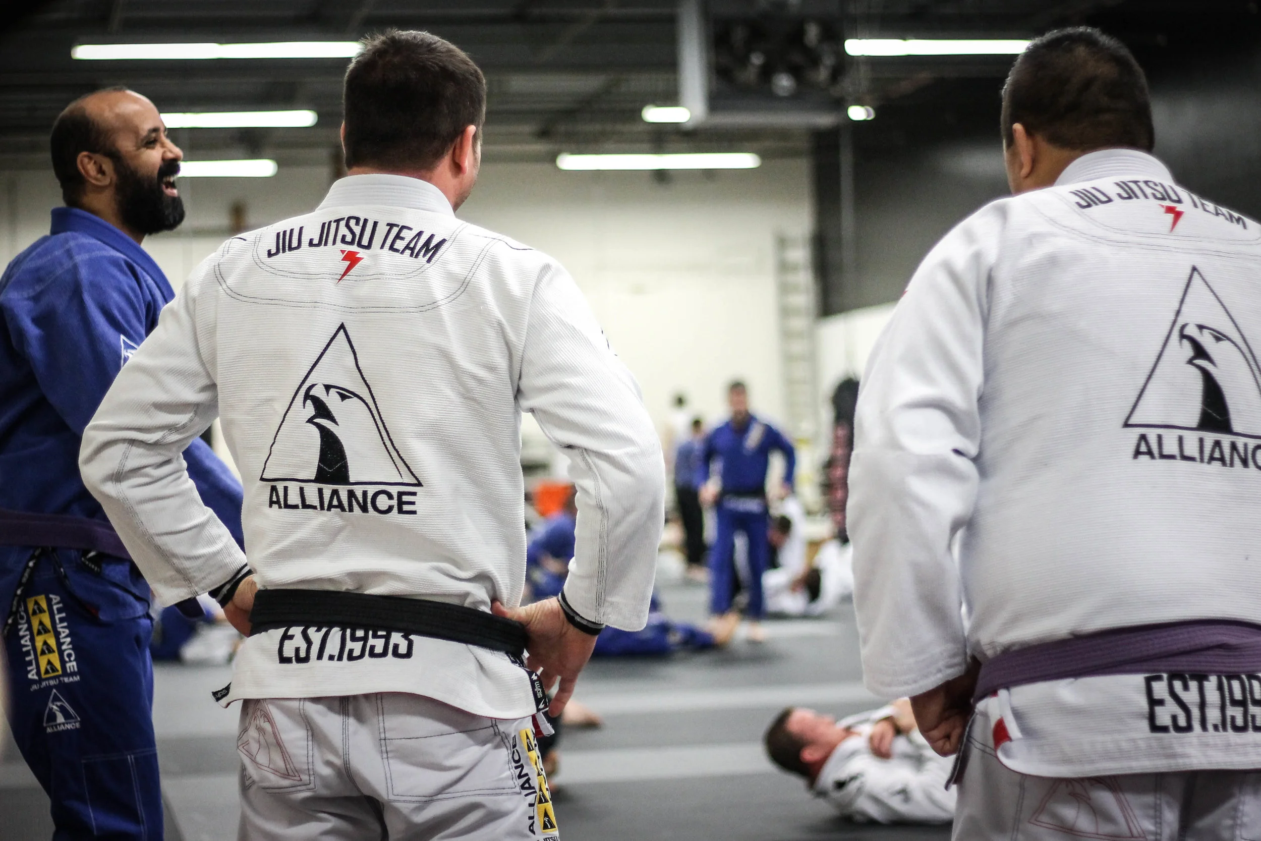 Discover the Power of Jiu Jitsu Classes at Evolution MMA — Evolution MMA