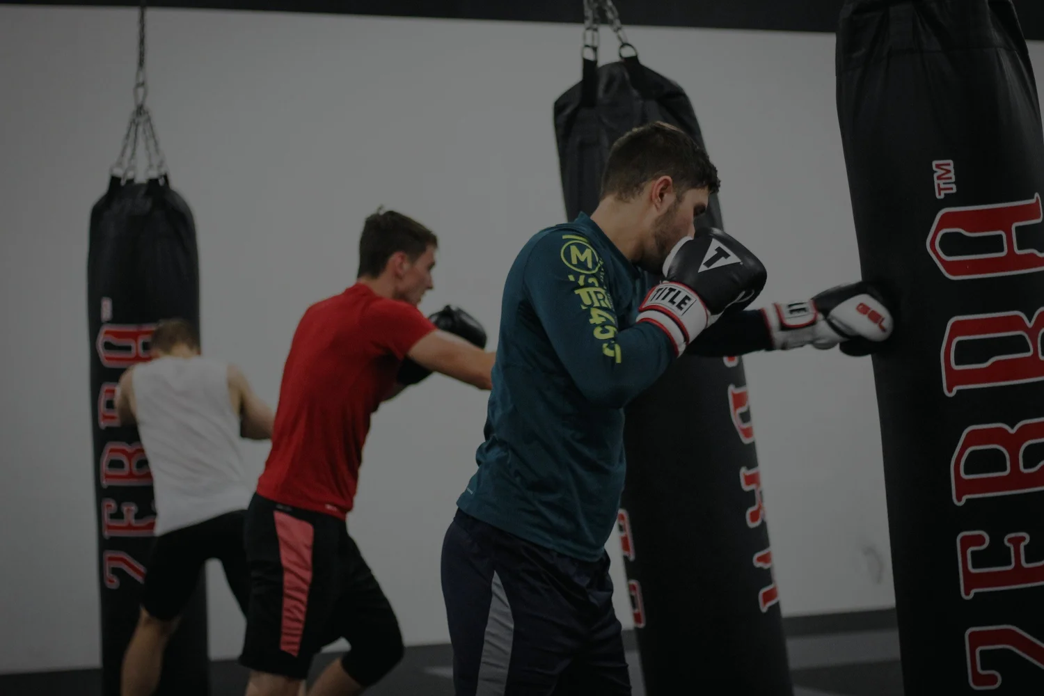 Evolution MMA Chicago - Schaumburg - Jiu Jitsu, Boxing and Muay Thai Gym