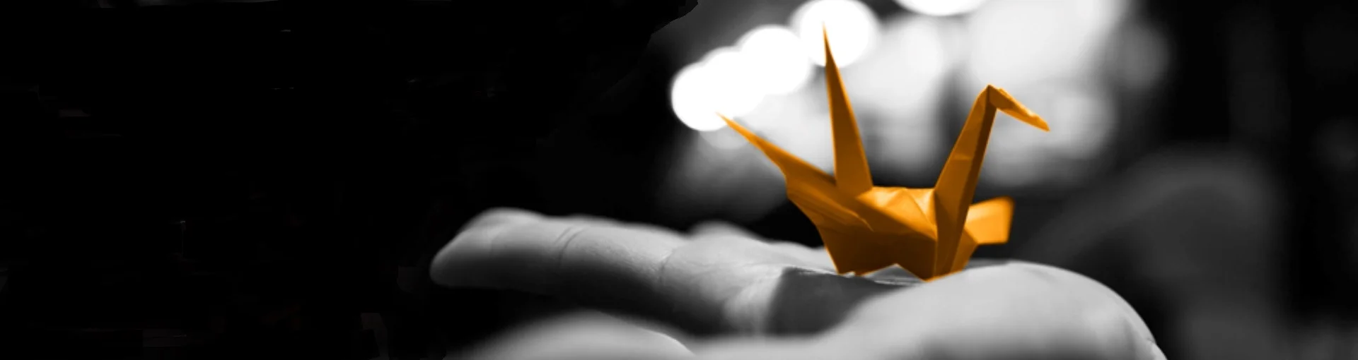 Xplan Workflow Installation | Enzumo