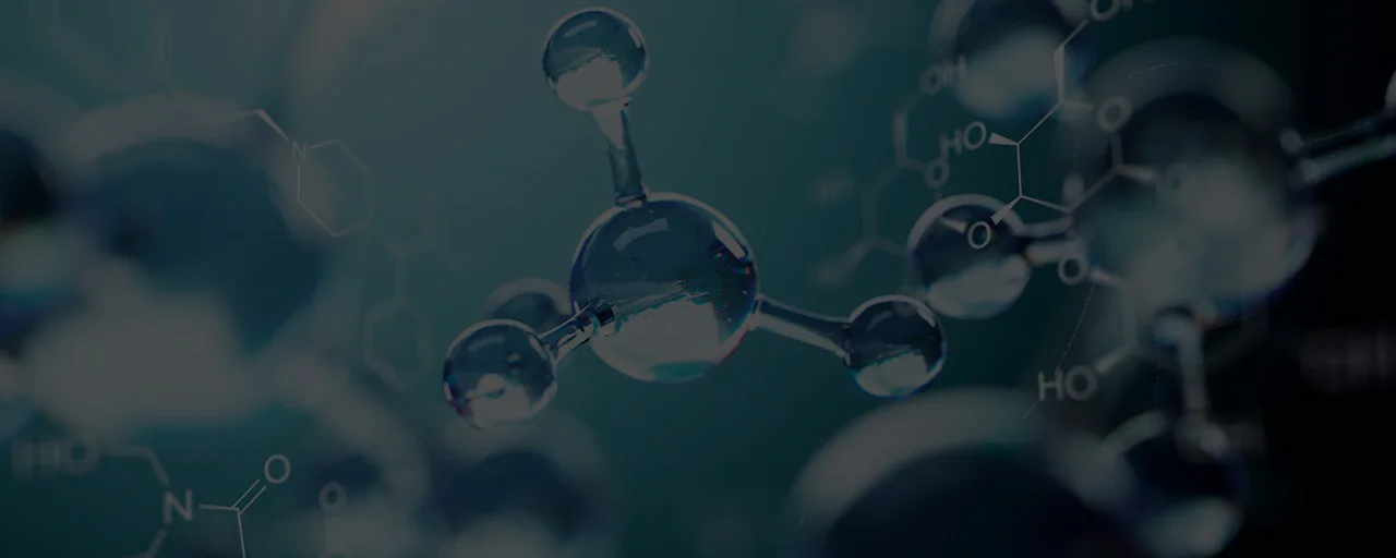 About Us — Intense Nutrients