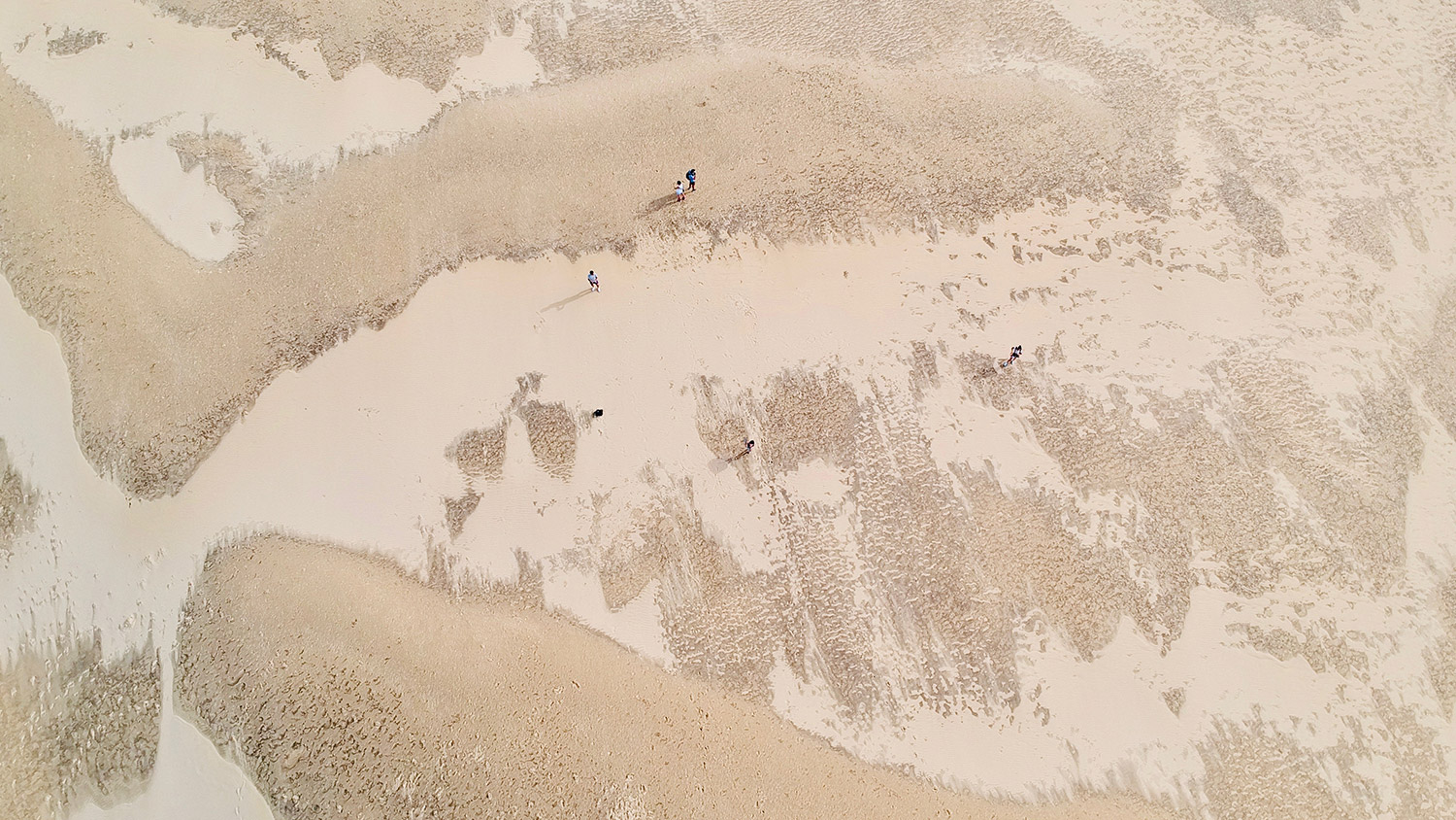 Pluralistic Therapy — An Introduction with Mick Cooper — Lifetime Therapy