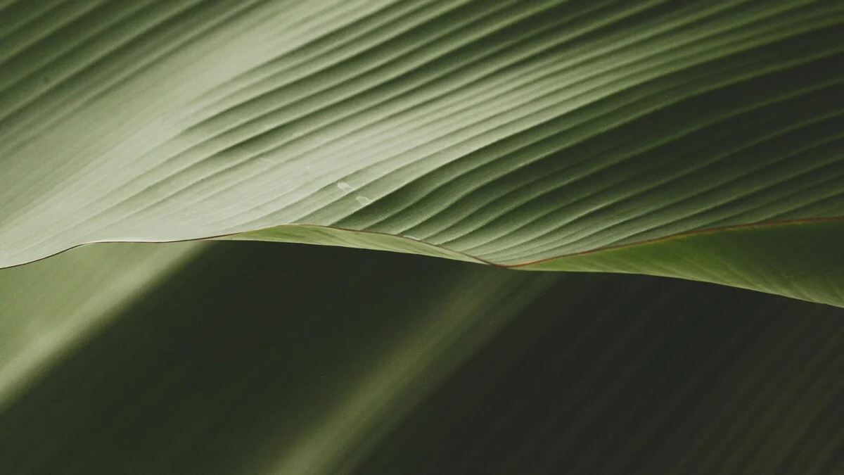Encounter Group — Lifetime Therapy