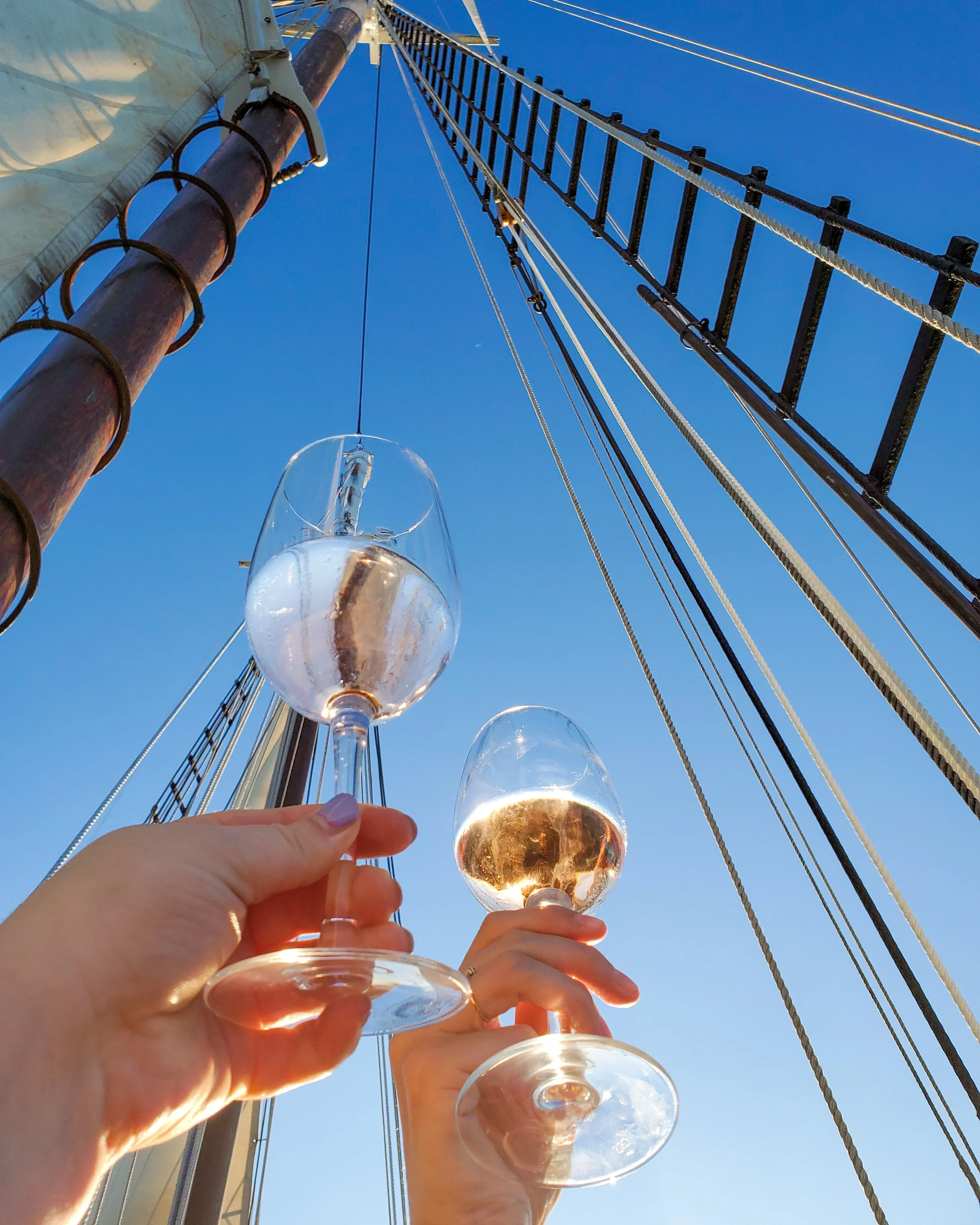 Wine Sails — Wine Wise