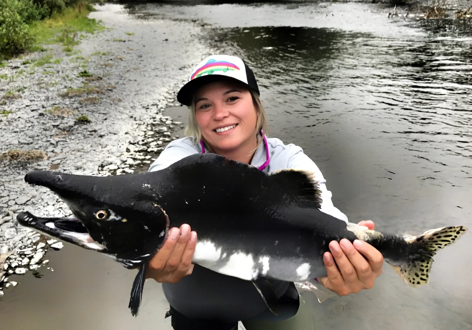 Pink Salmon — Saltery Lake Lodge