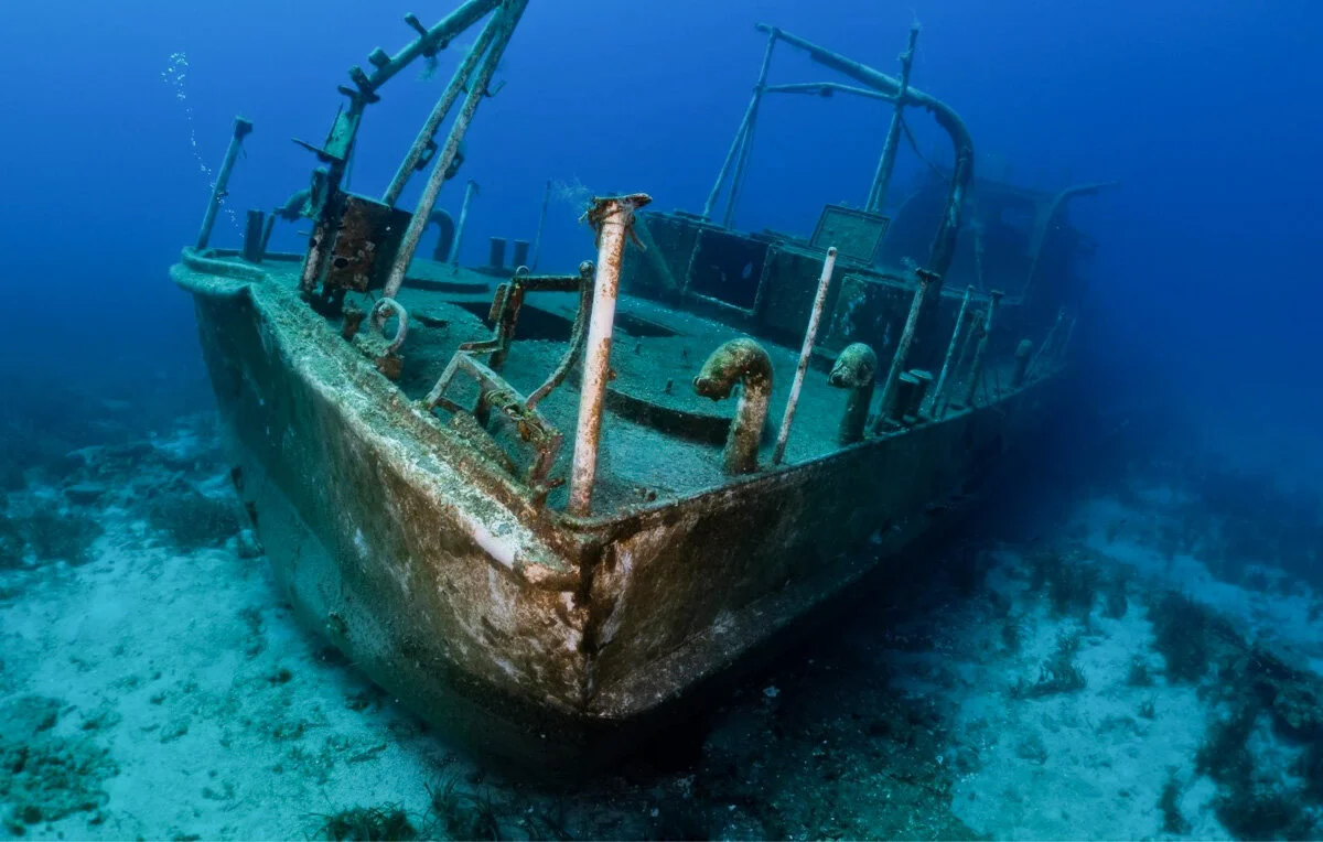 Best scuba diving in North Carolina — The Executive Thrillseeker
