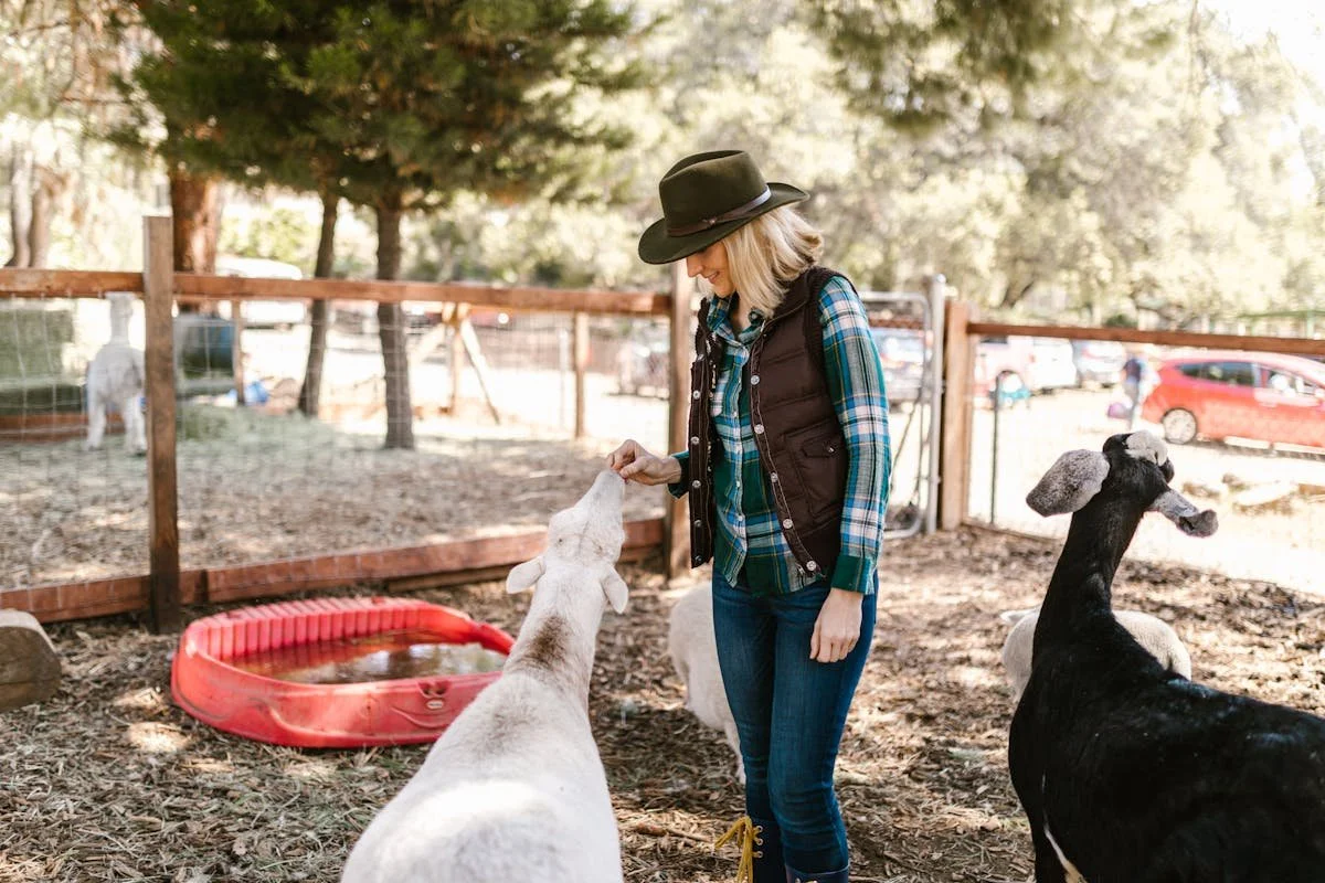Things To Do In Copperas Cove, Texas: A Multifaceted Journey — The ...