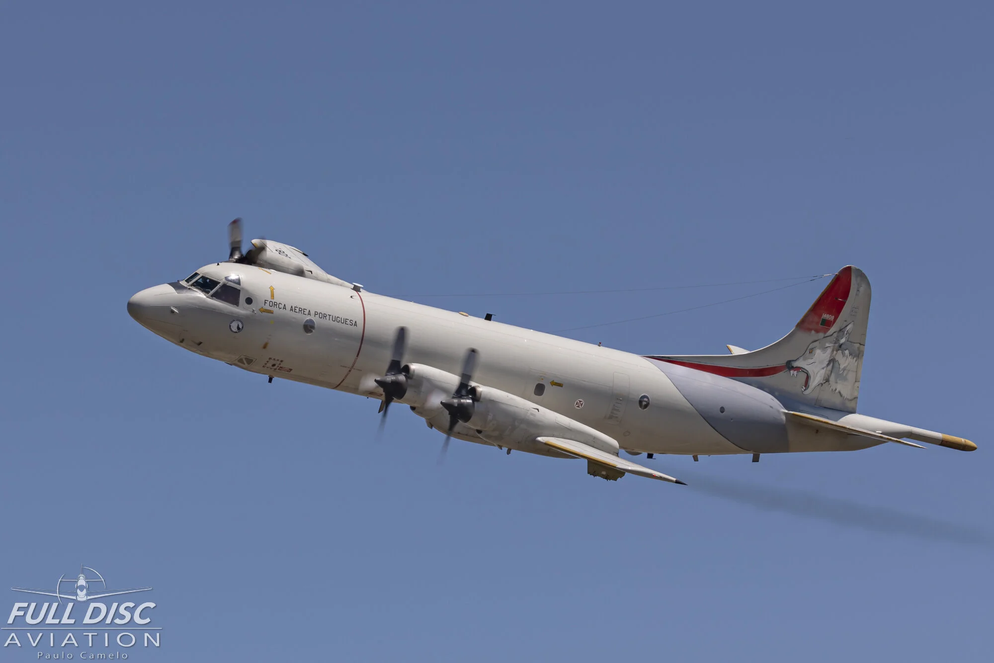 Big Cats in Beja - Nato Tiger Meet 2021 — Full Disc Aviation - Sharing ...