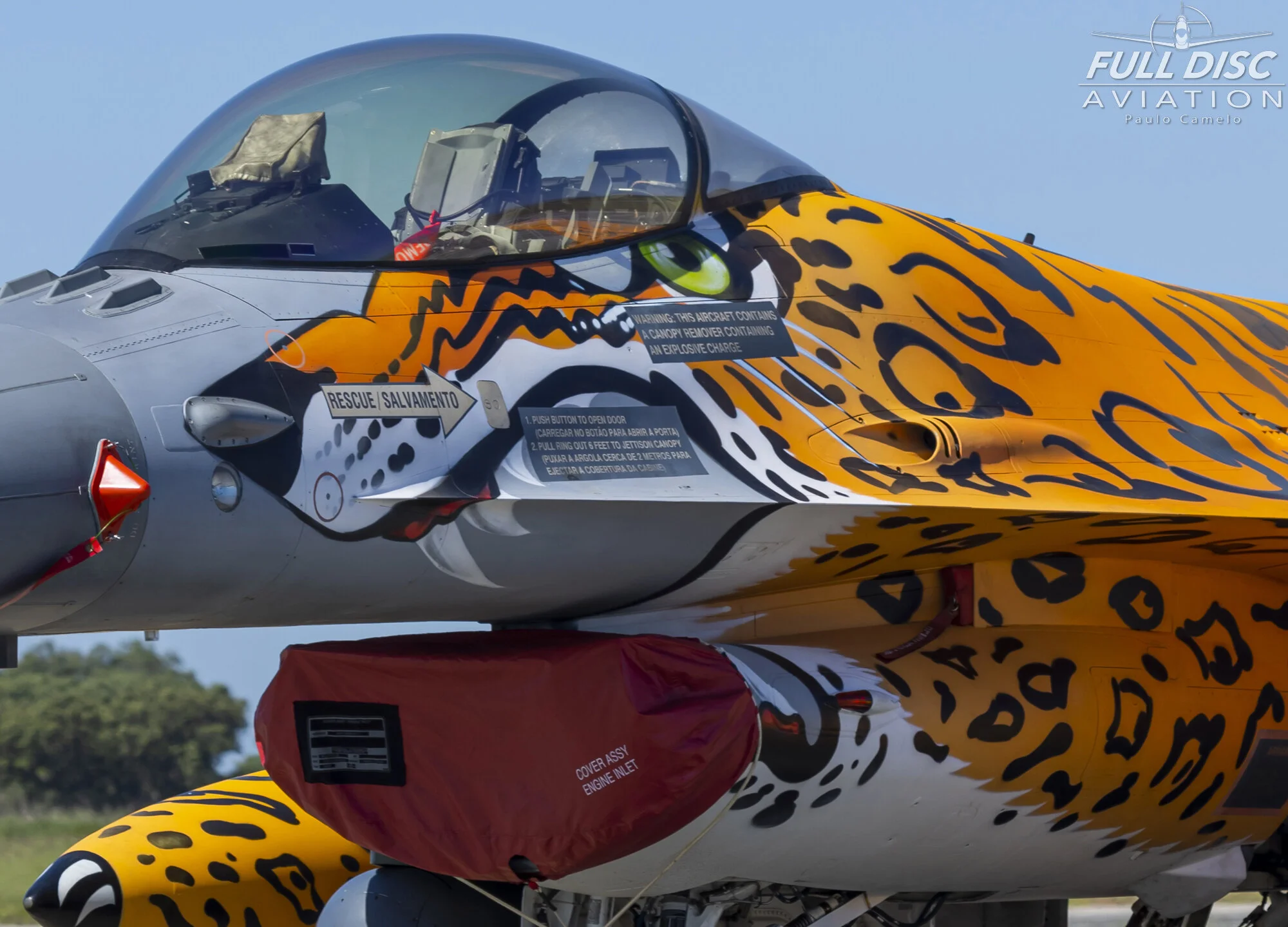 Big Cats in Beja - Nato Tiger Meet 2021 — Full Disc Aviation - Sharing ...