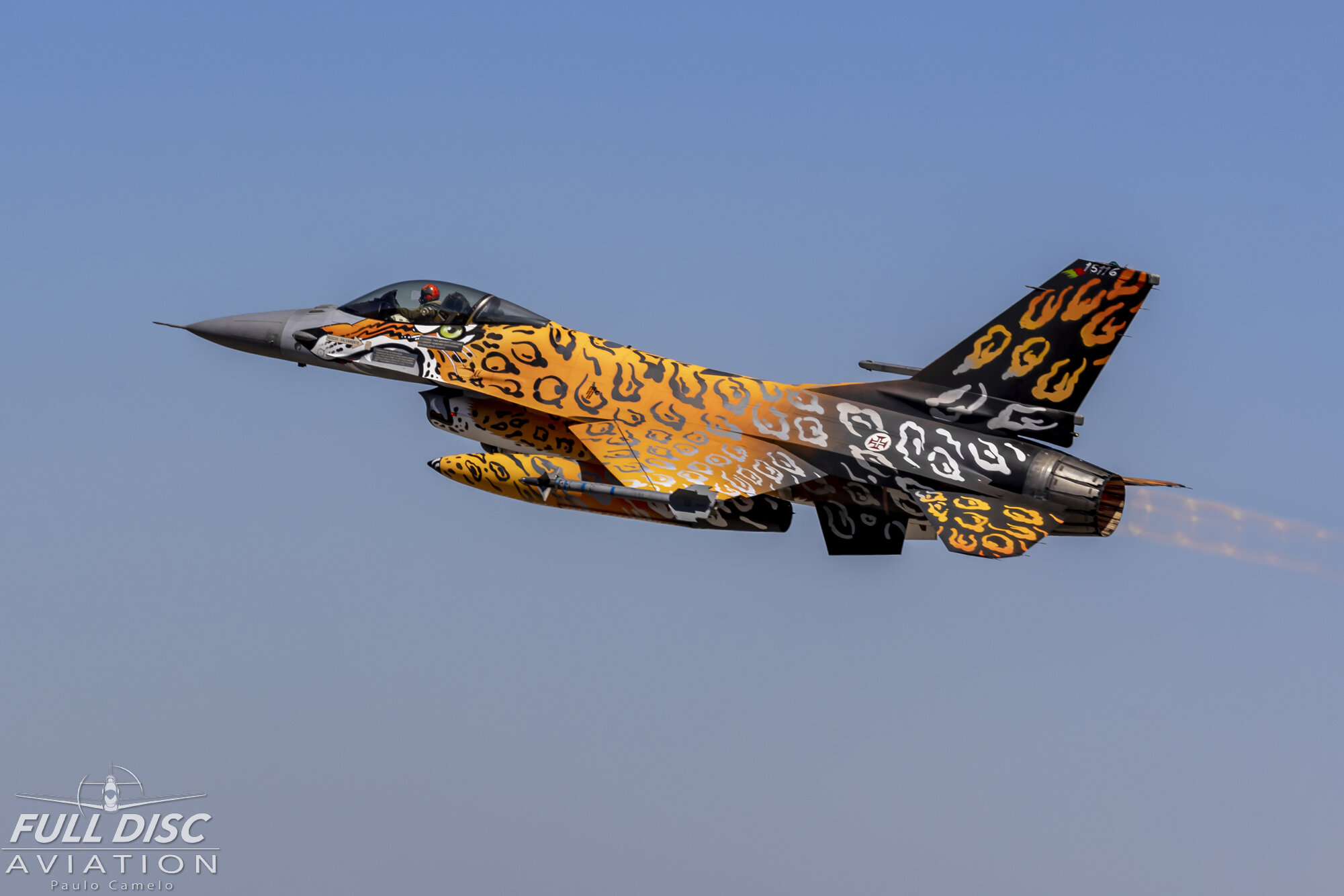 Big Cats in Beja - Nato Tiger Meet 2021 — Full Disc Aviation - Sharing ...