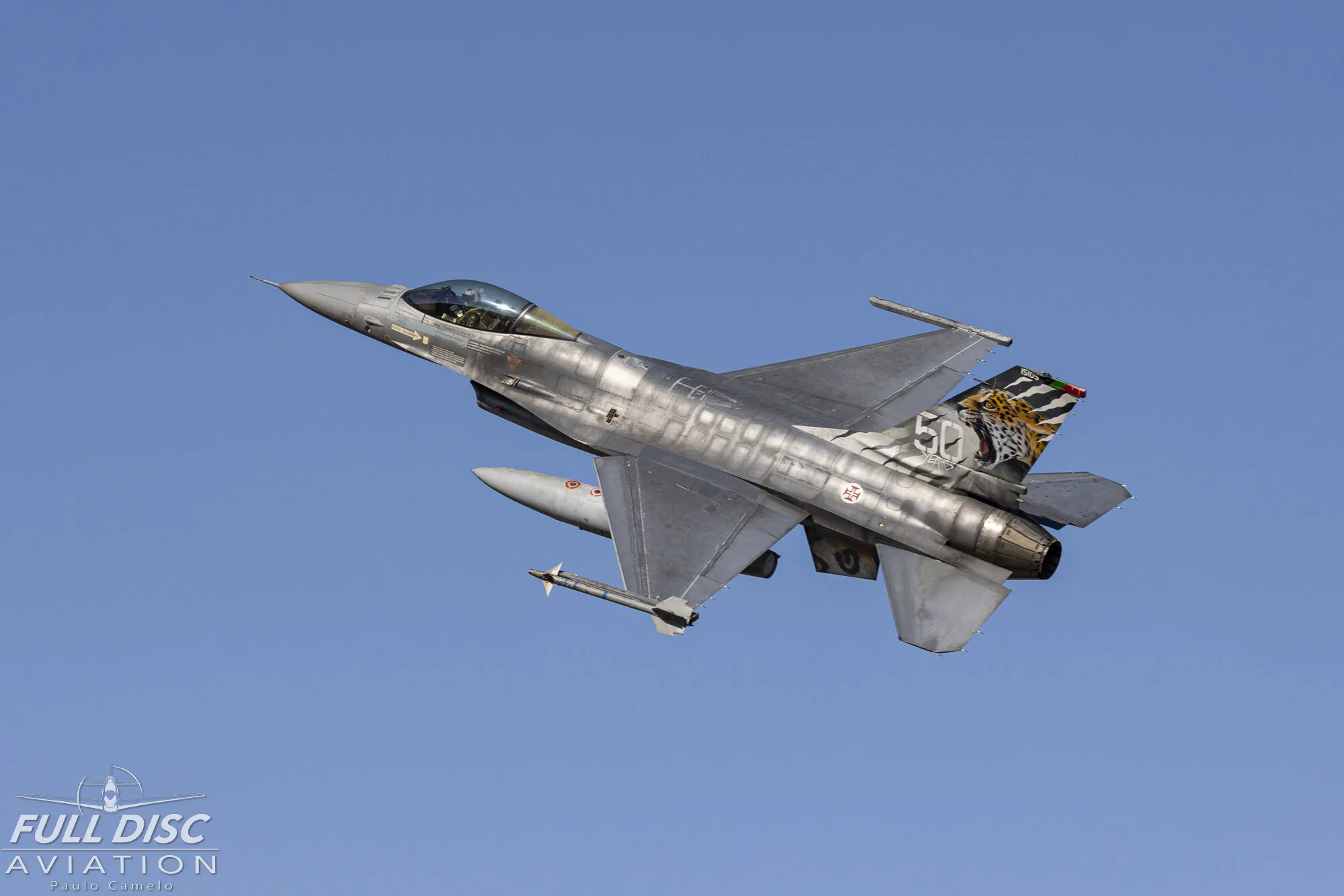 Big Cats in Beja - Nato Tiger Meet 2021 — Full Disc Aviation - Sharing ...