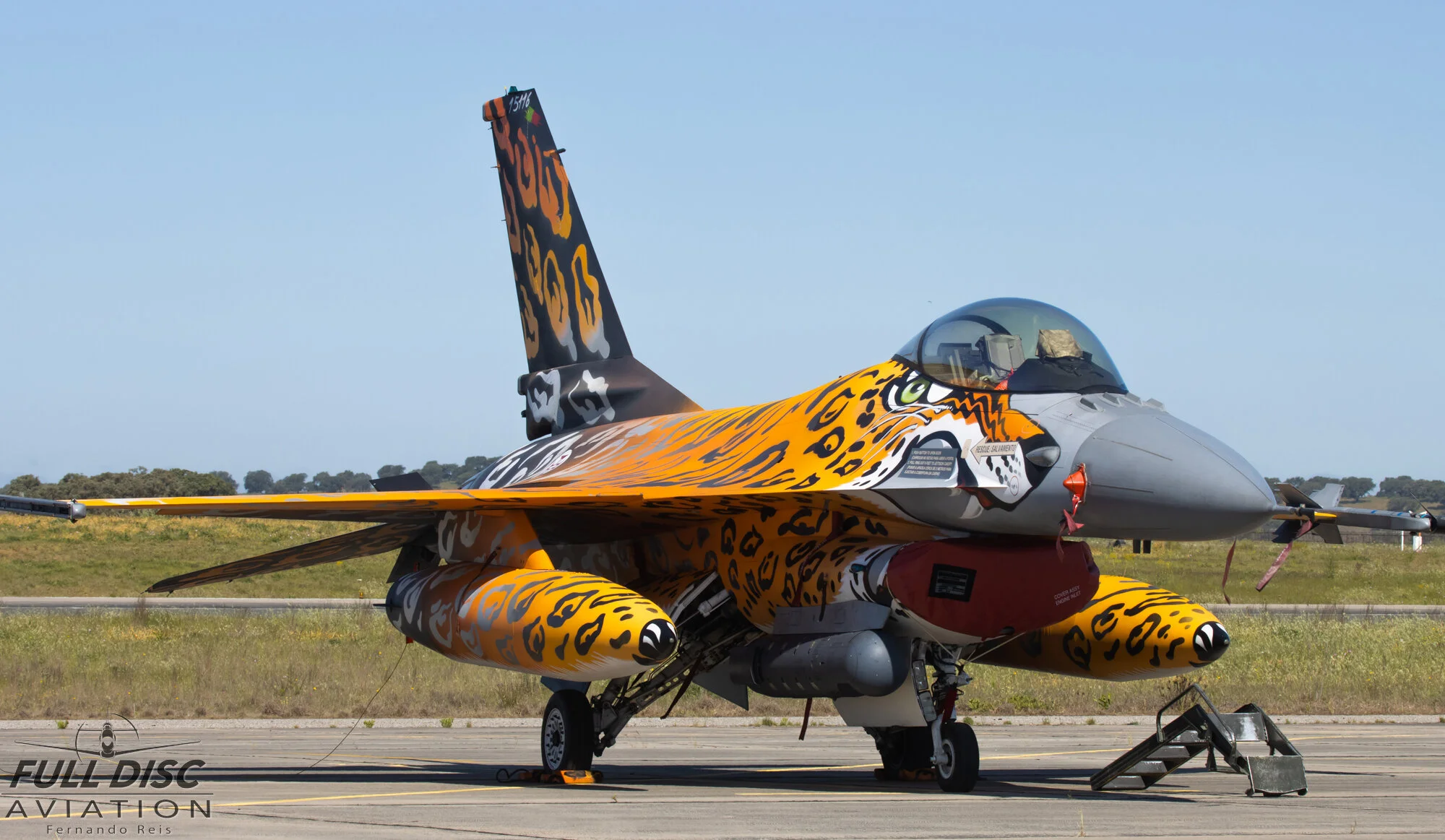Big Cats in Beja - Nato Tiger Meet 2021 — Full Disc Aviation - Sharing ...