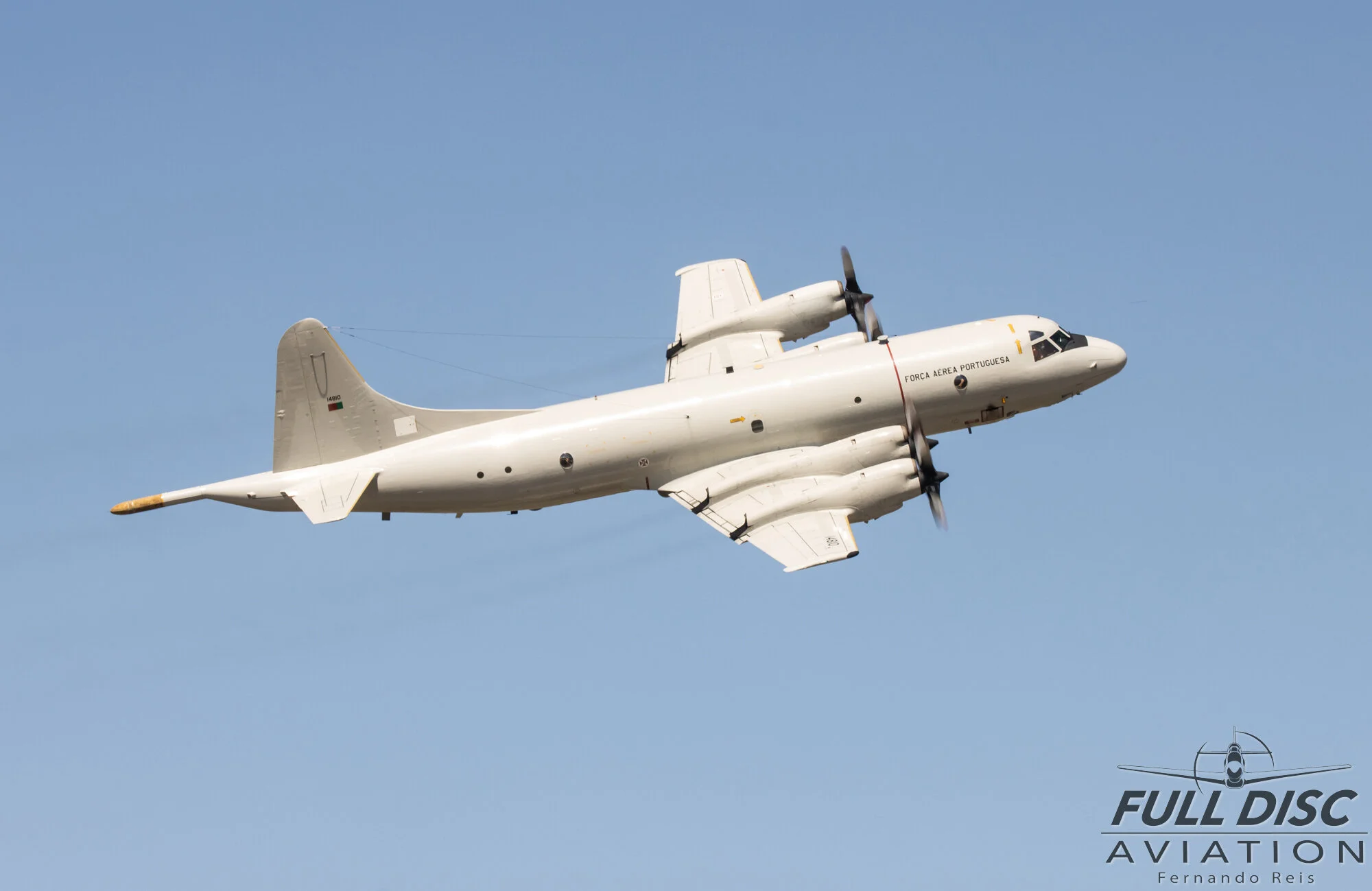 Big Cats in Beja - Nato Tiger Meet 2021 — Full Disc Aviation - Sharing ...