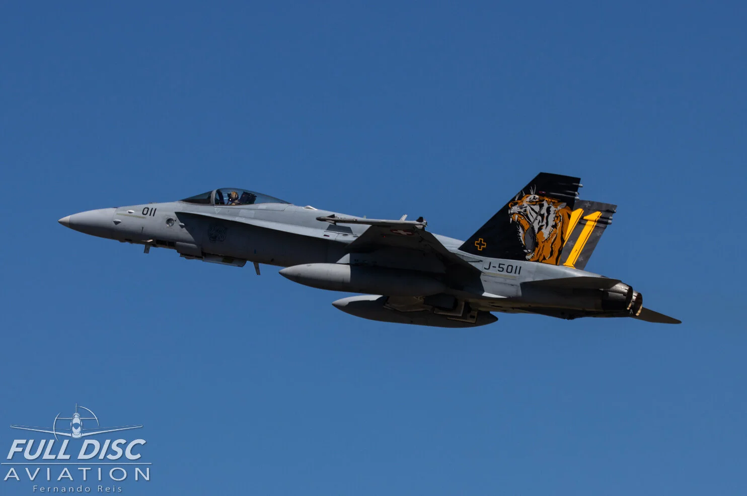 Big Cats in Beja - Nato Tiger Meet 2021 — Full Disc Aviation - Sharing ...