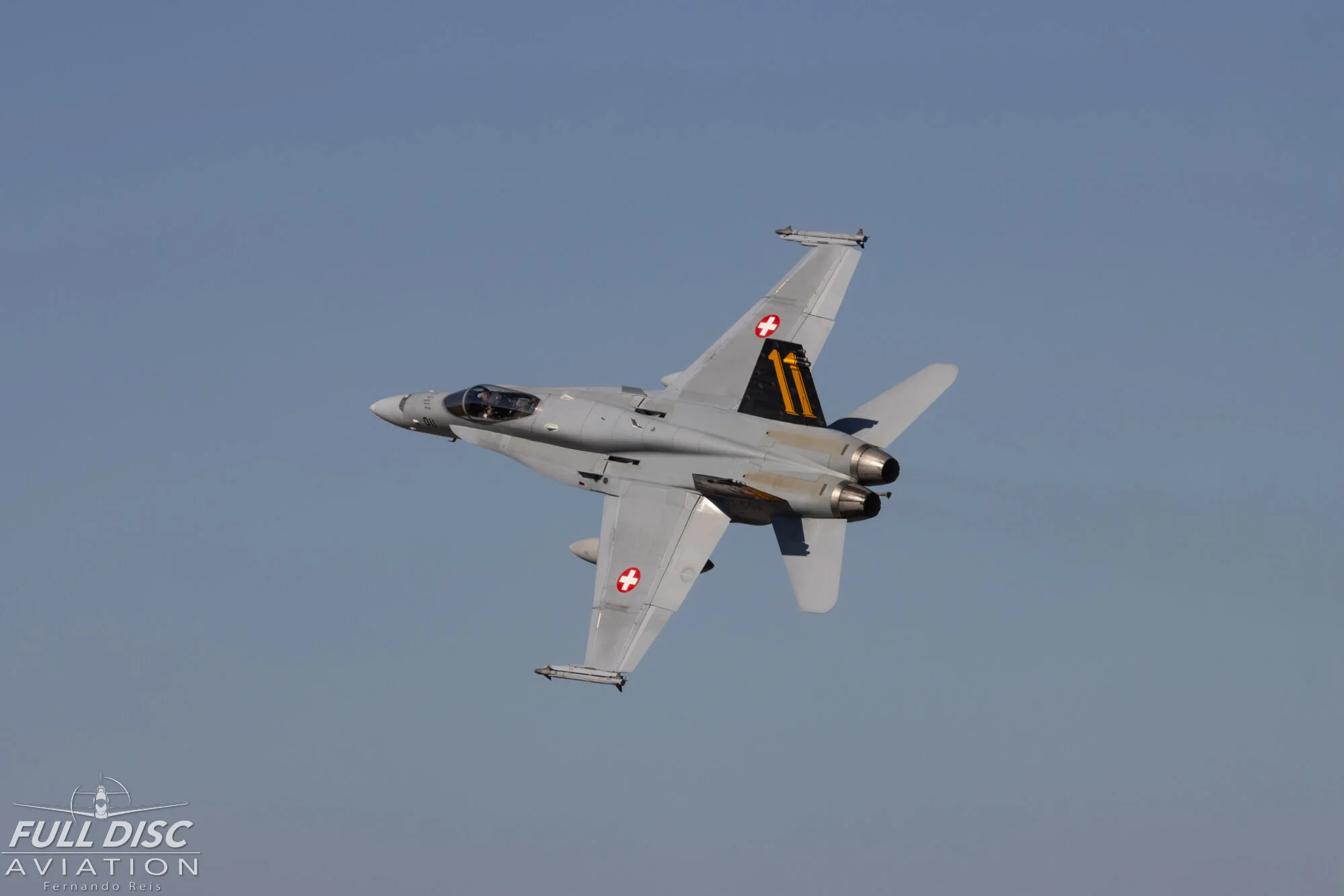 Big Cats in Beja - Nato Tiger Meet 2021 — Full Disc Aviation - Sharing ...