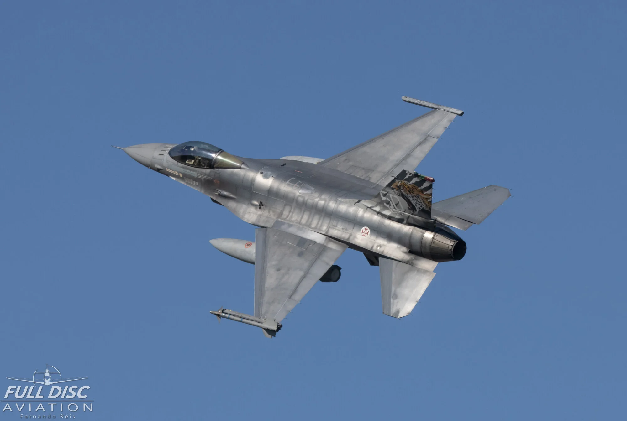 Big Cats in Beja - Nato Tiger Meet 2021 — Full Disc Aviation - Sharing ...