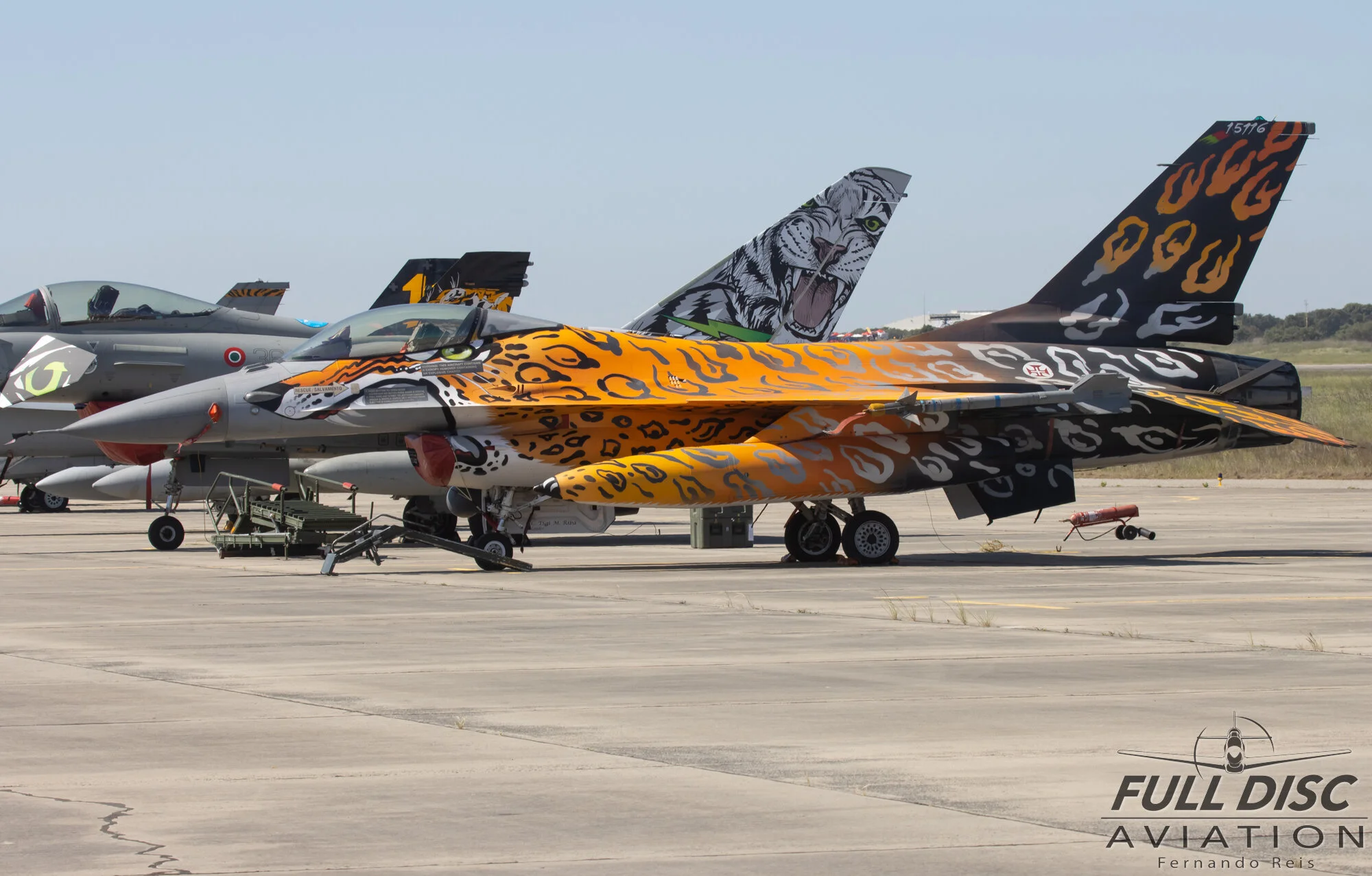 Big Cats in Beja - Nato Tiger Meet 2021 — Full Disc Aviation - Sharing ...