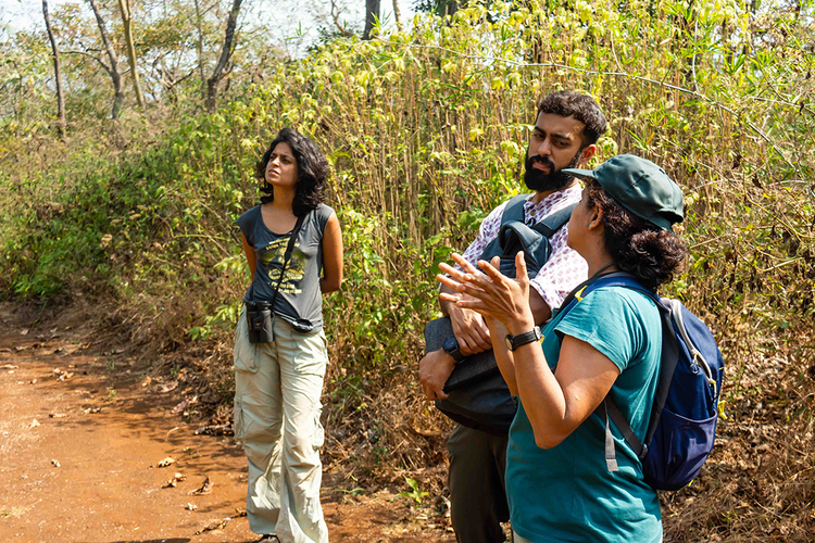 Mhadei Work — Technology for Wildlife Foundation