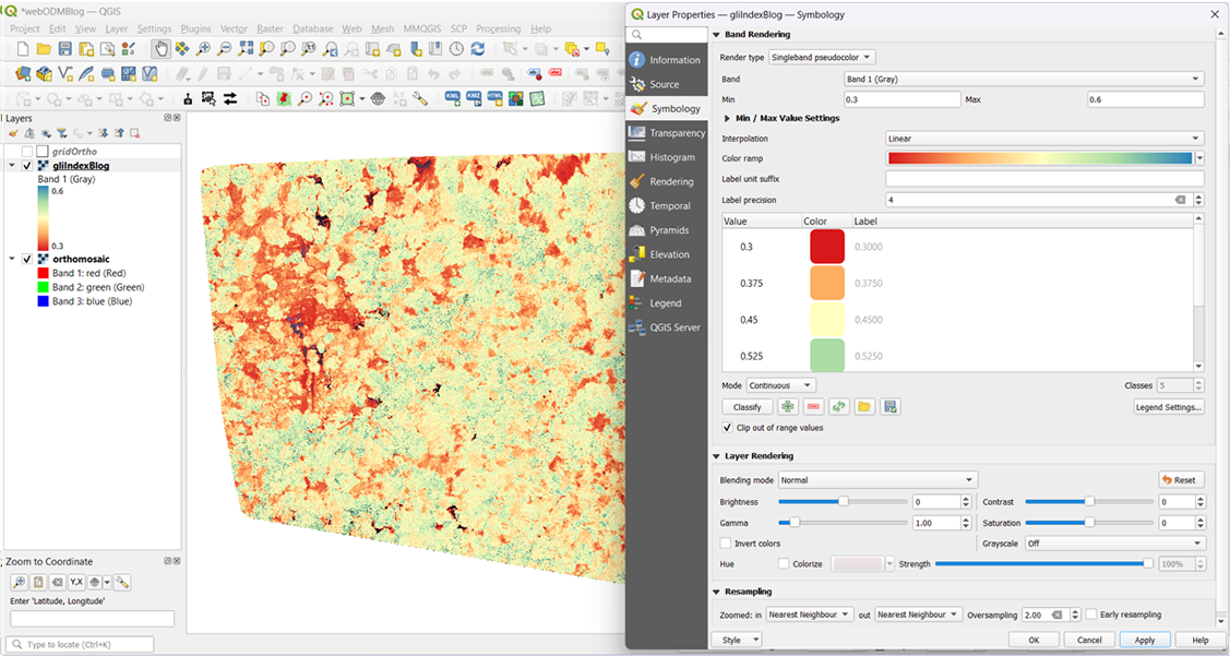 Understanding Drone Orthomosaics — Technology for Wildlife Foundation