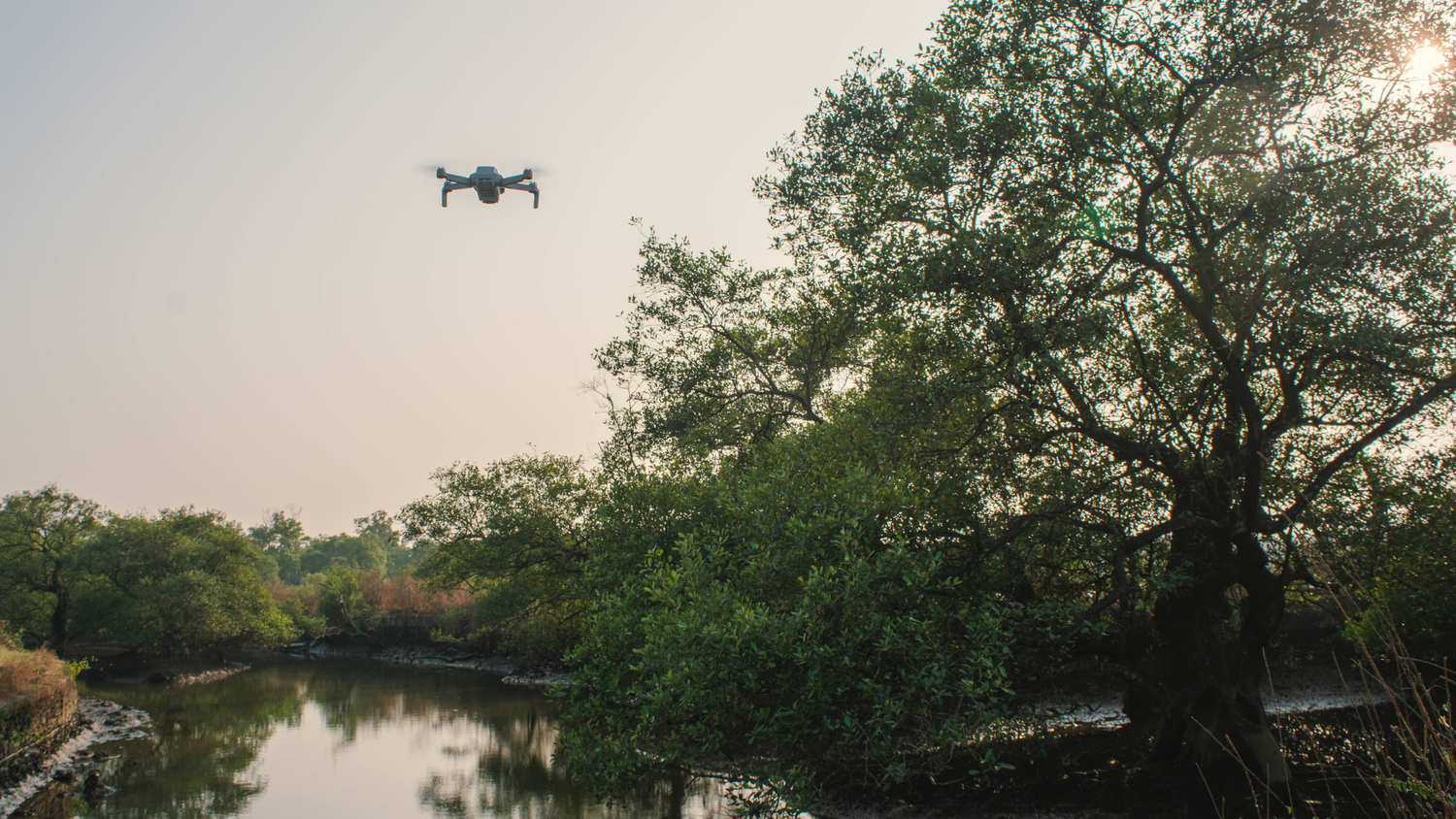 Technology for Wildlife Foundation