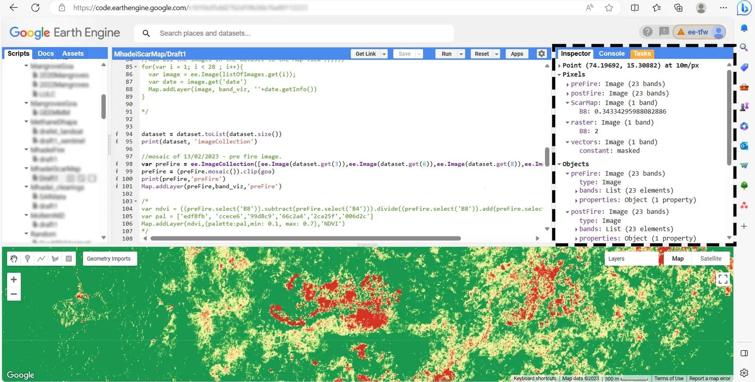 Identifying Forest Fire Scars with GEE — Technology for Wildlife Foundation