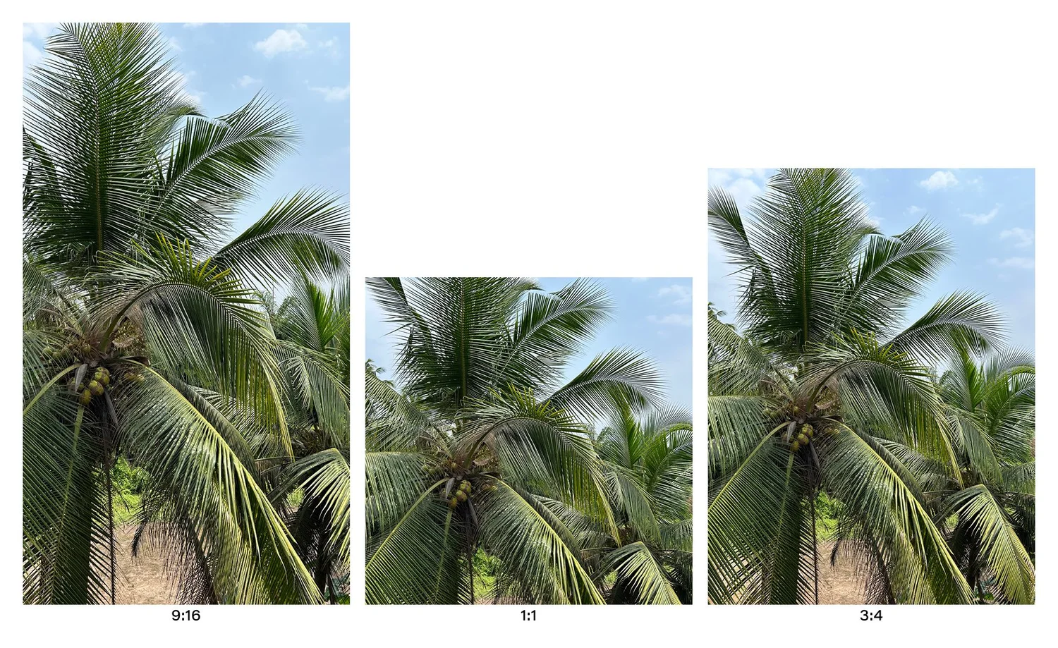 The Practical Nuances of Calculating Field of View — Technology for ...