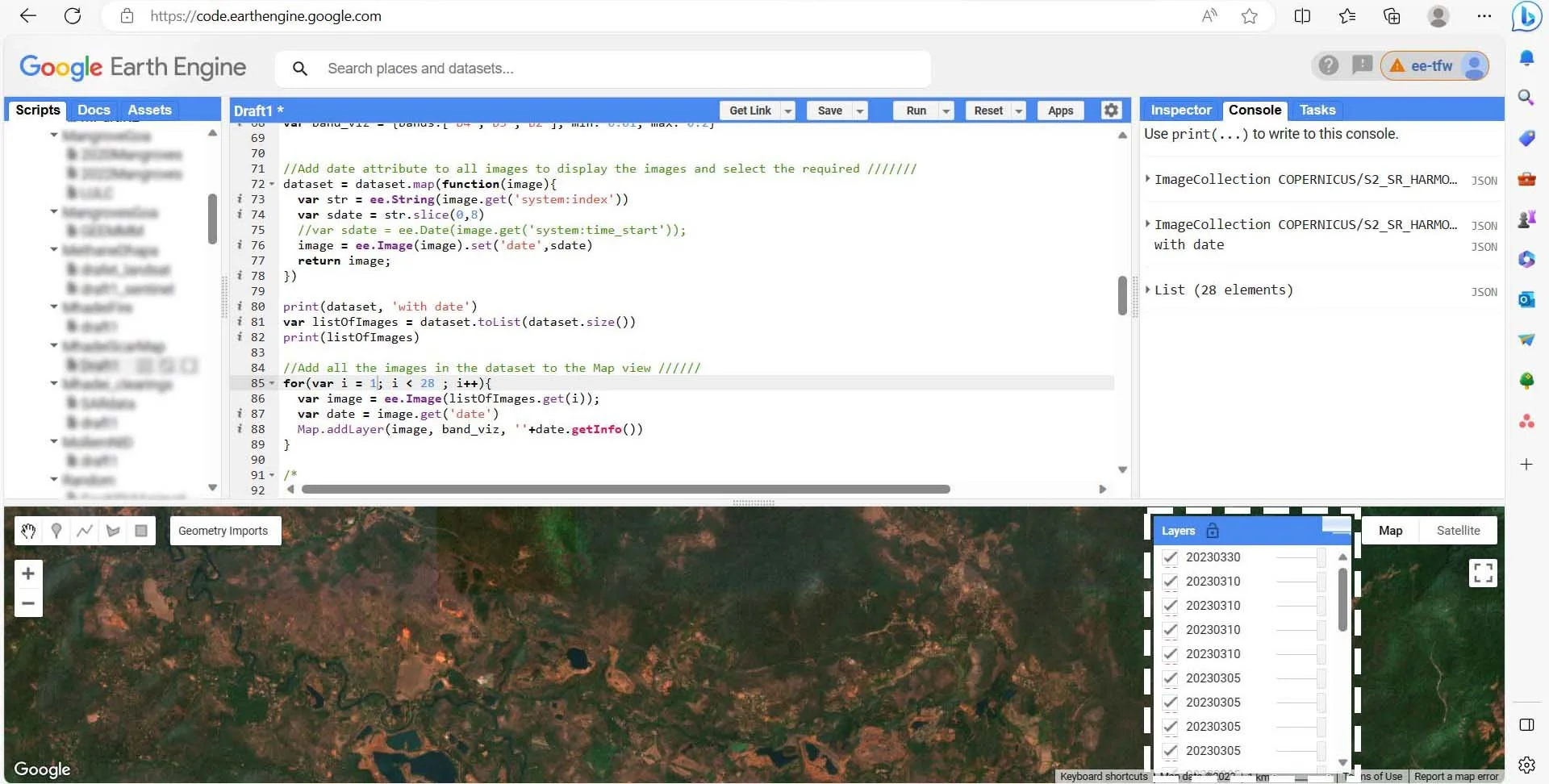 Identifying Forest Fire Scars with GEE — Technology for Wildlife Foundation