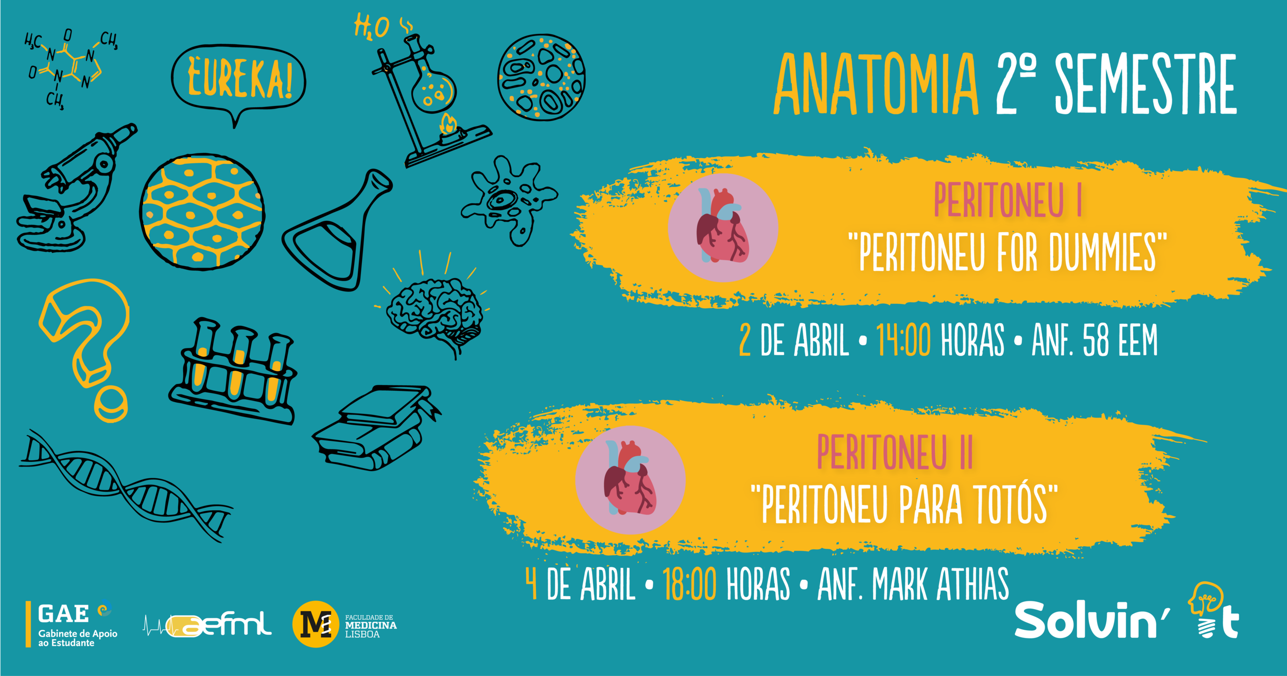 Solvin' It | Anatomia 2.º Semestre - Peritoneu — AEFML | Associação de ...