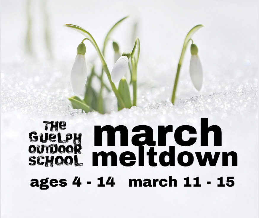 Camps and PD — The Guelph Outdoor School