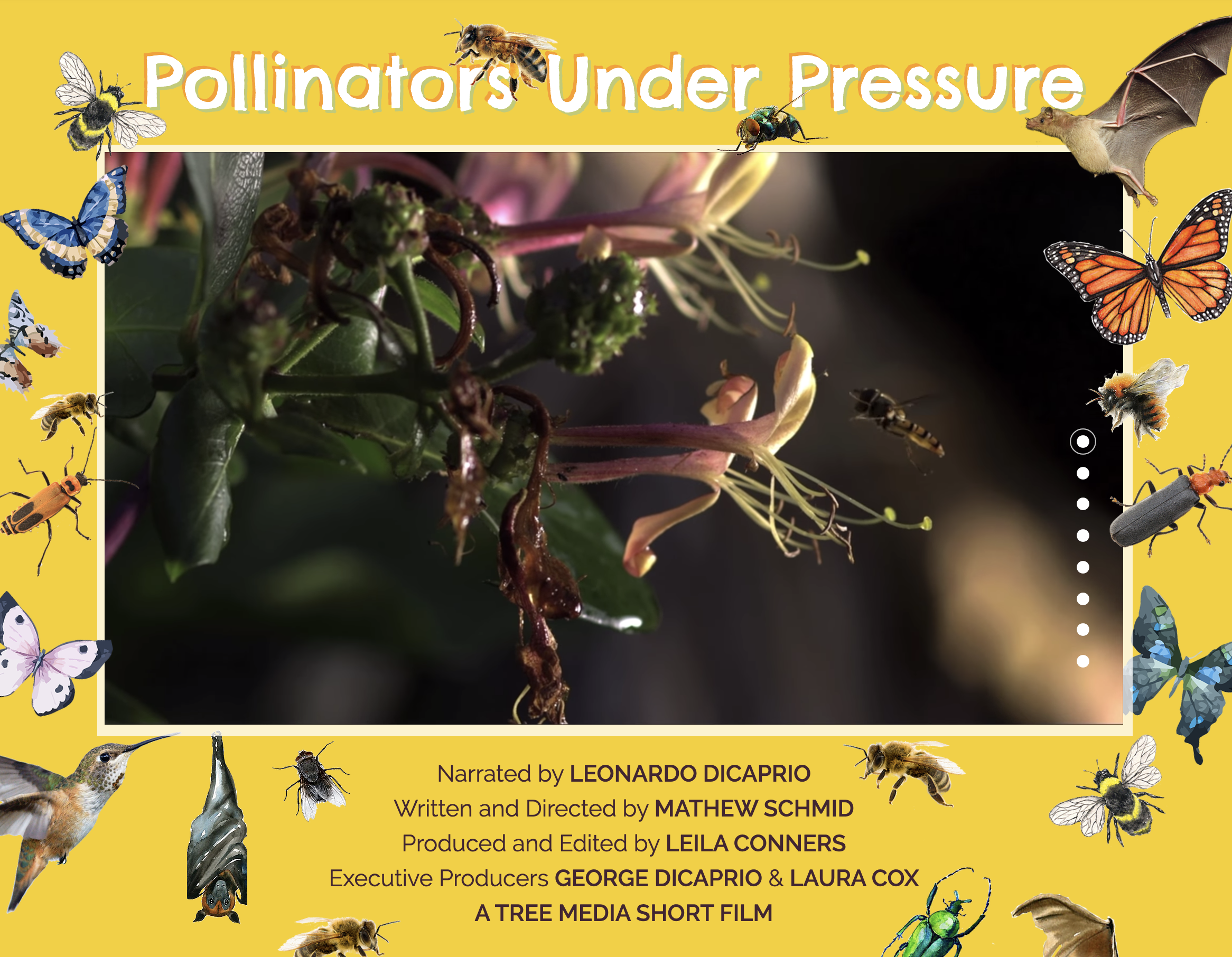 News — Pollinator Friendly Alliance