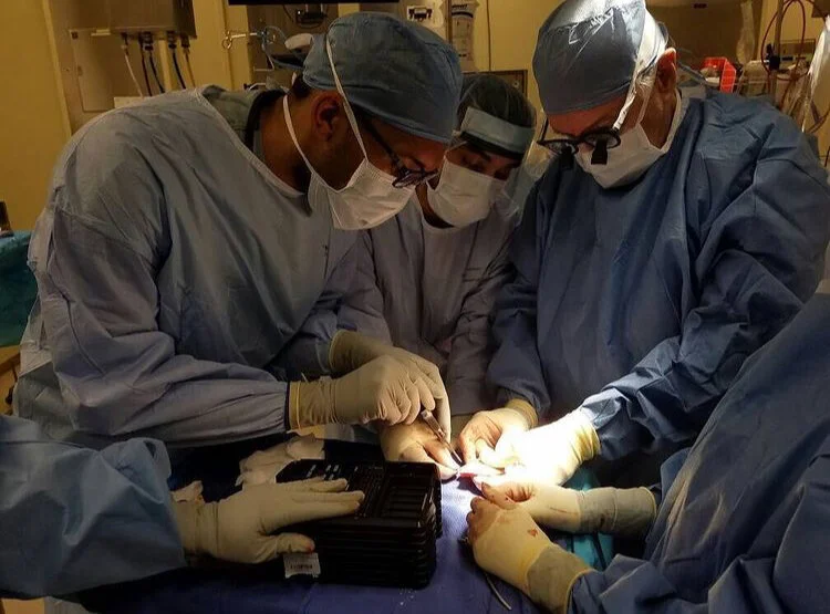 Knot Tying and Suturing Tutorials — WP Lab