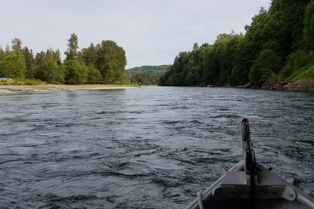 Fully guided sport fishing | Steelhead & Salmon | Kings-Silvers-Coho ...