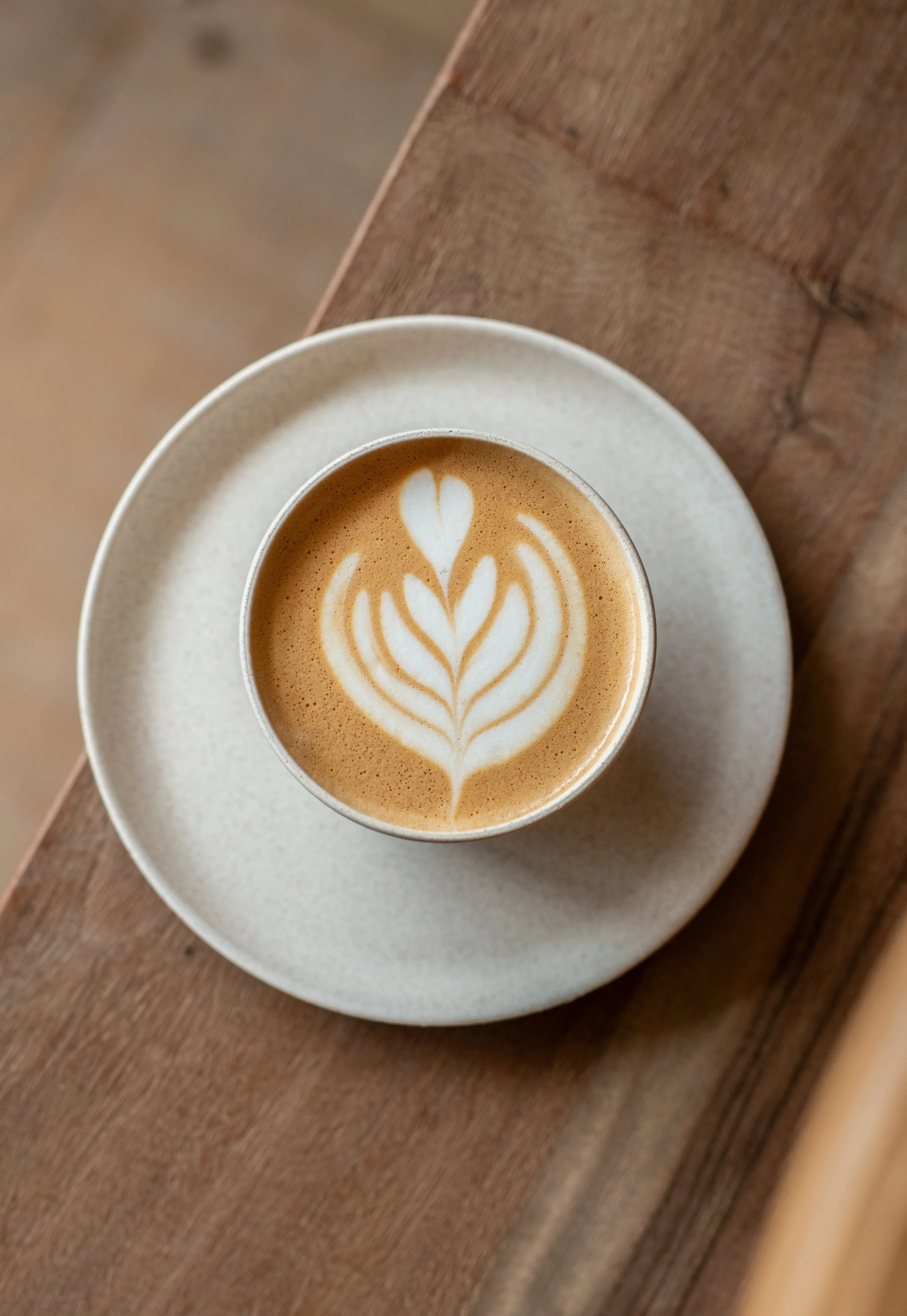 Wolfox Speciality Coffee | Artisan Organic Coffee | Wholesale Available ...