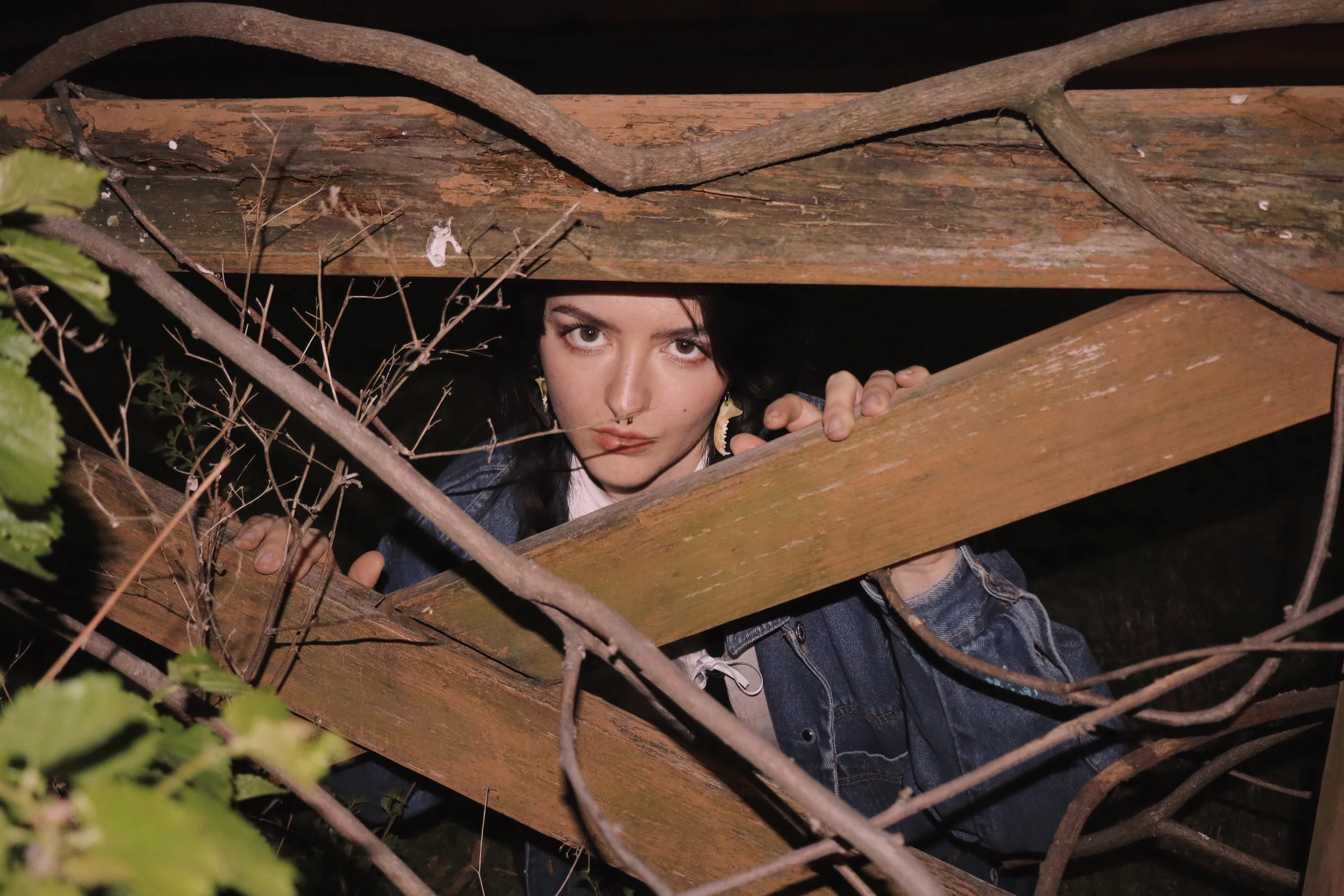 Midwestern Gothic: How Ethel Cain Reinvented Regional Aesthetics ...