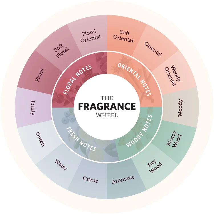 The Science of Perfume: Decoding the Composition and Structure of ...