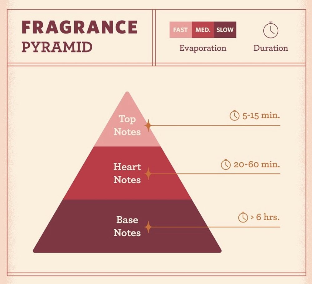 The Science of Perfume: Decoding the Composition and Structure of ...