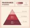 The Science of Perfume: Decoding the Composition and Structure of ...