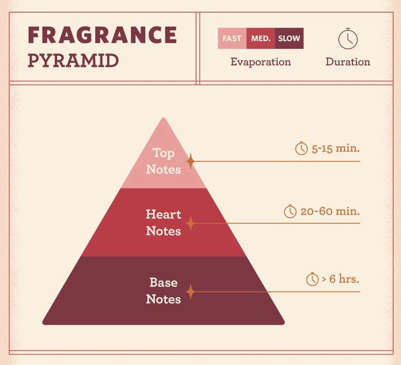 The Science of Perfume: Decoding the Composition and Structure of ...