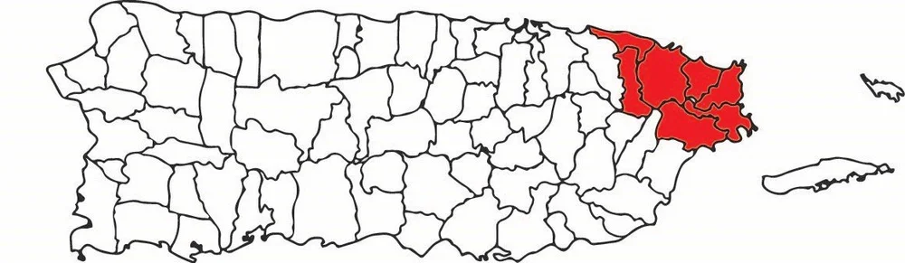 Fajardo Metro area — Whiskey University