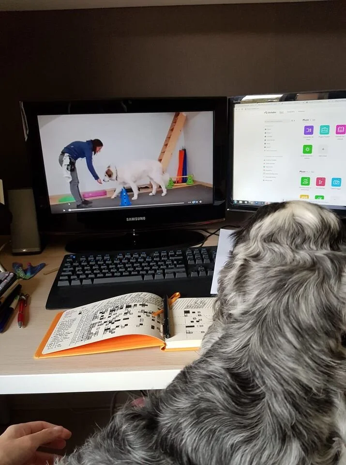 Camille Nguyen | fitness et sports canins