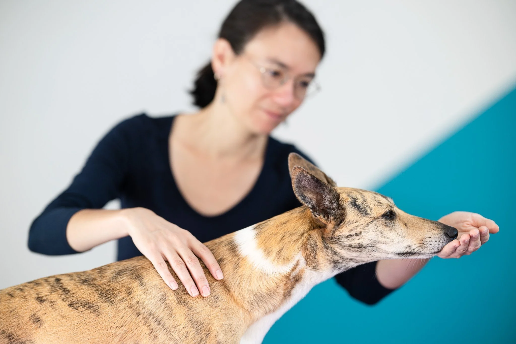 Camille Nguyen | fitness et sports canins
