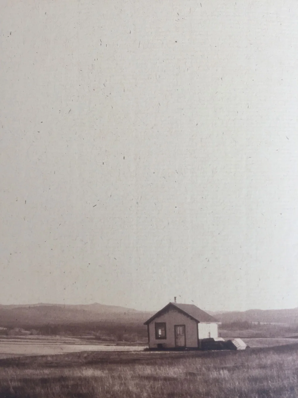 Ranch + Cattle — Douglas Lake Ranch