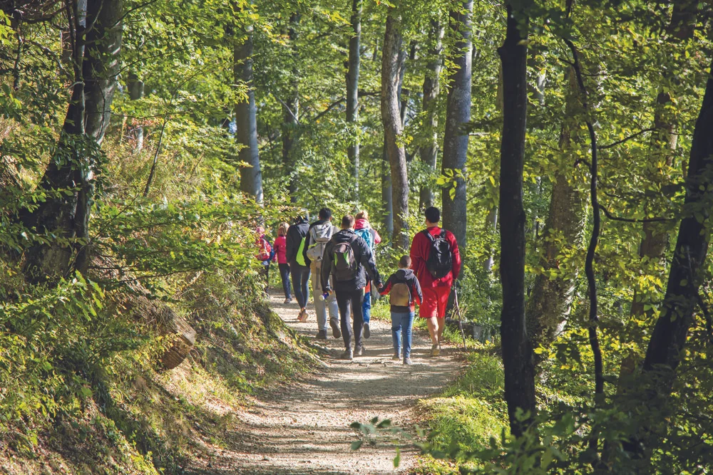 Group Of People In Nature