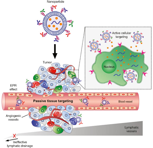 Nanomedicine: Paving the Path Towards Better Targeted Drug Delivery ...