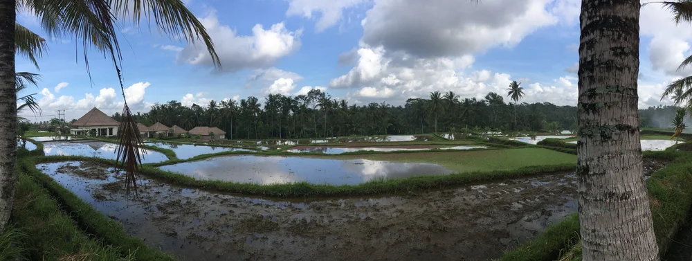 Bali Travel Guide: The Quick & Dirty 8-Day Itinerary — Blue Sky Mind