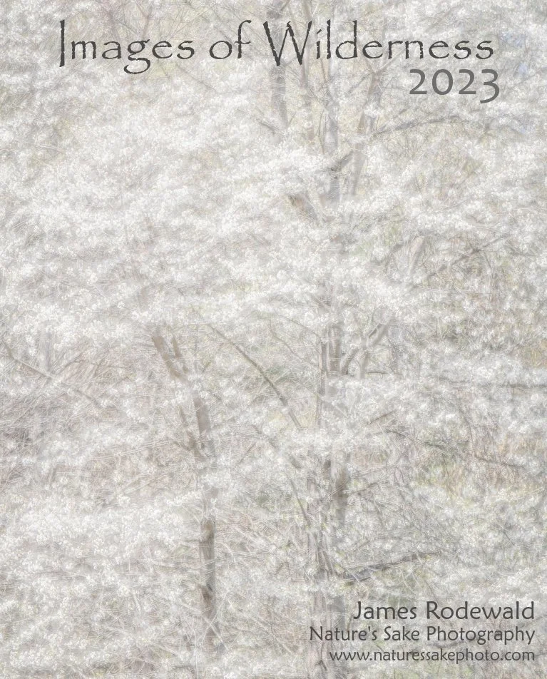 James Rodewald Photography