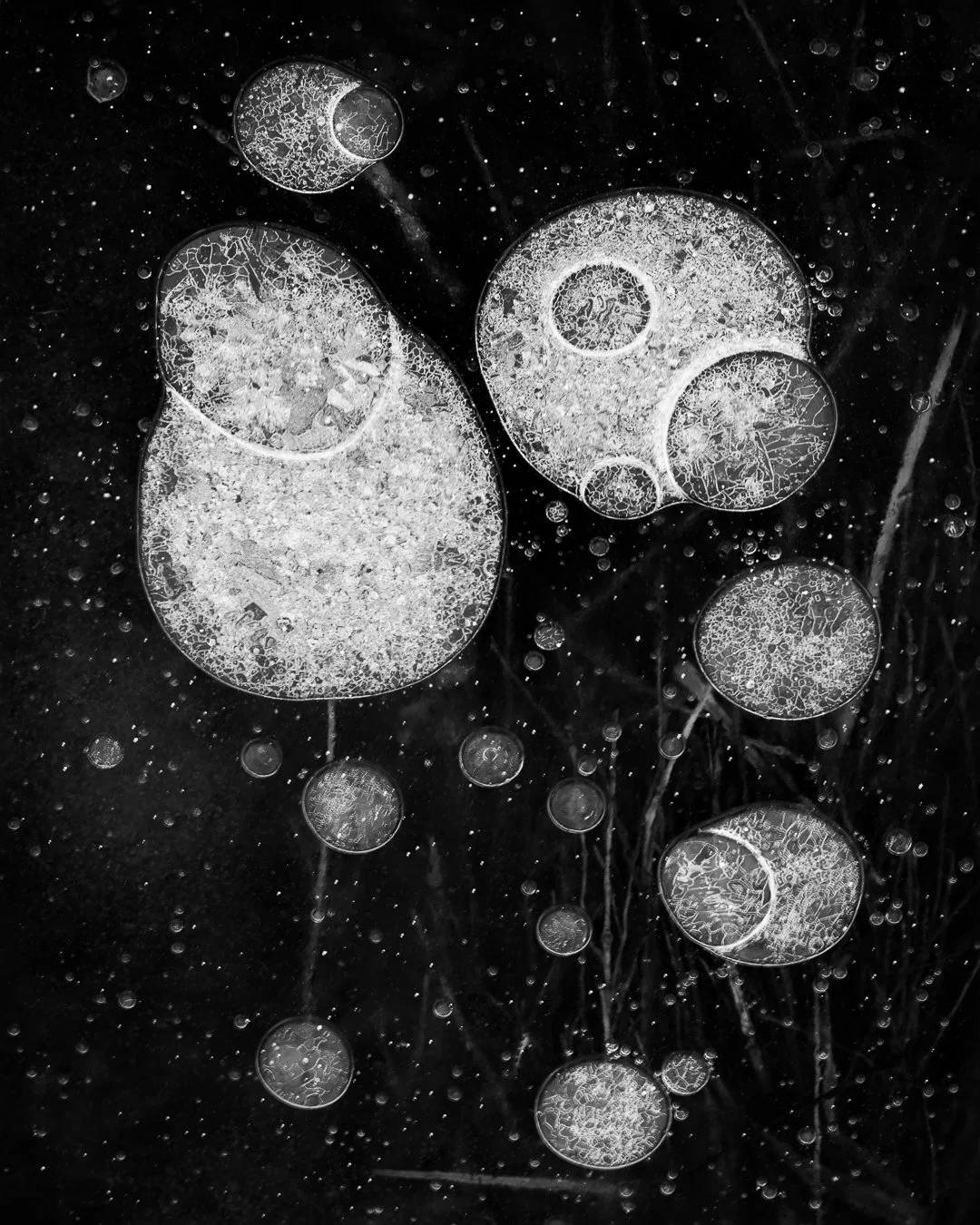 Recent Work — James Rodewald Photography